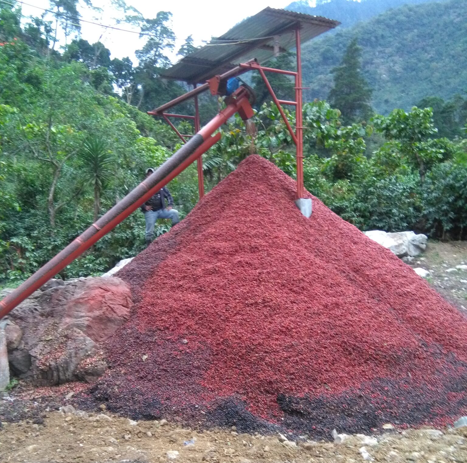 DUTCH GUM®, a functional food ingredient made from coffee pulp. PectCof ...