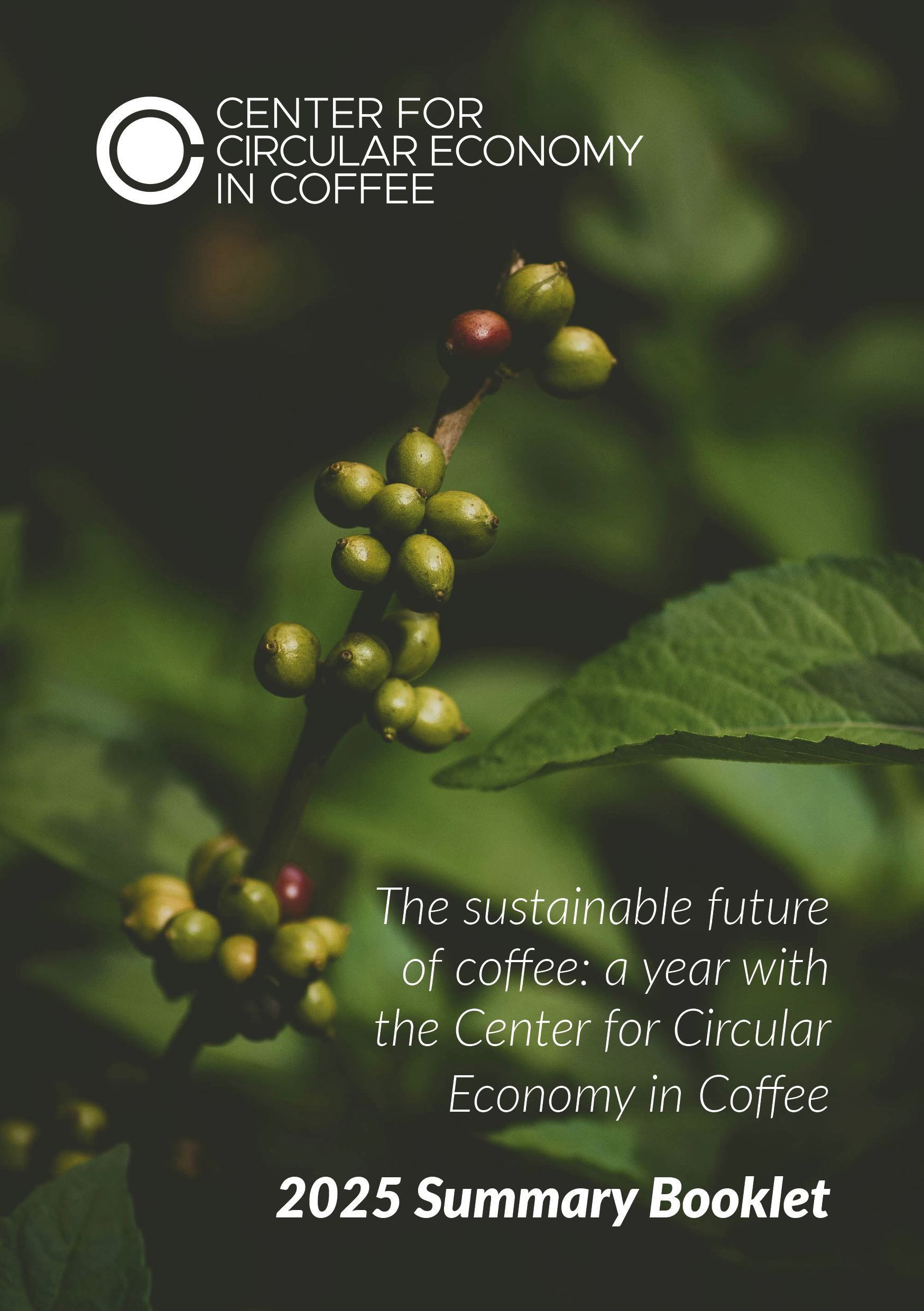 Circular Economy in Coffee